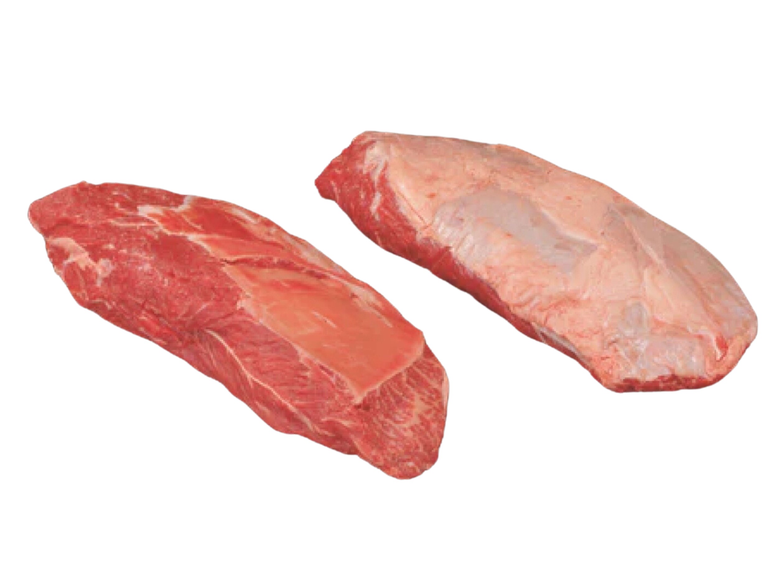 トップブレードマッスル – 株式会社アイ・ビー・シー